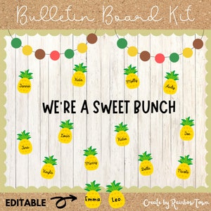 Pineapple Summer Bulletin Board Kit Back to School Classroom ...