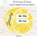 Lemon Classroom Decor Bundle Modern Farmhouse Classroom Theme Complete ...