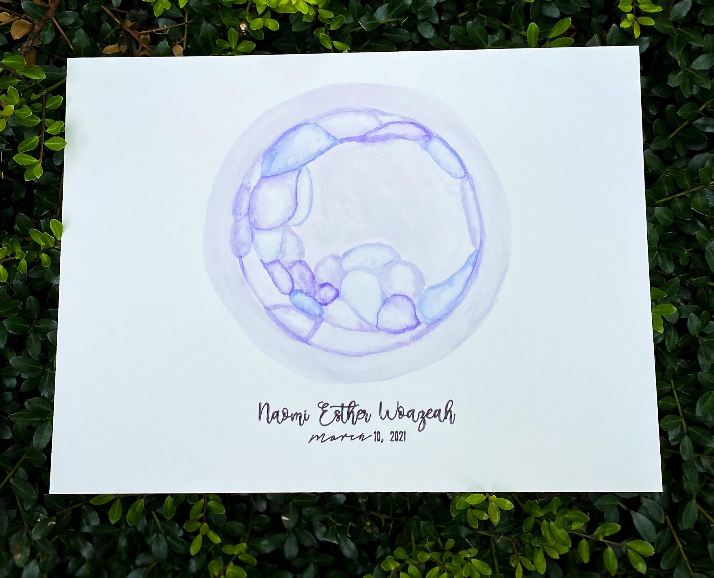Custom Embryo Watercolor - Etsy
