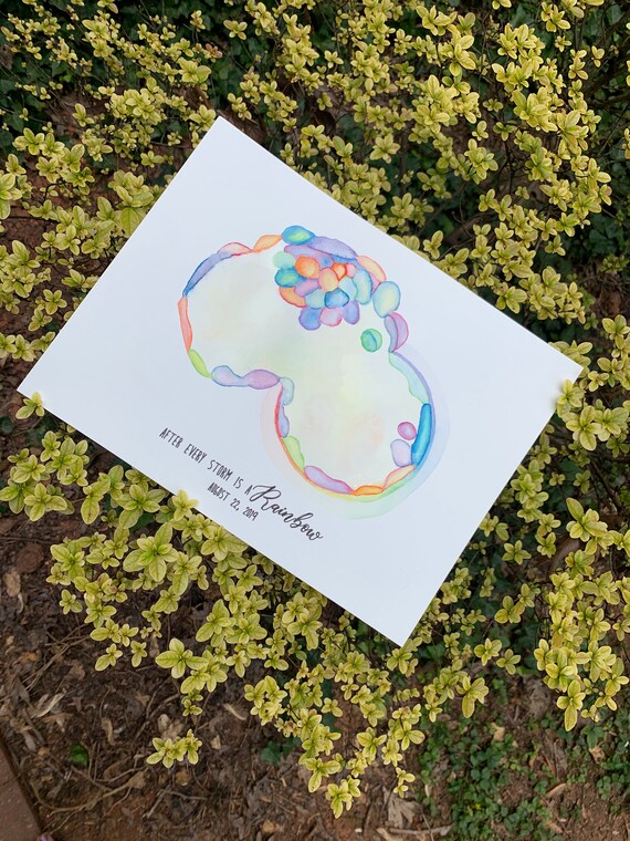Custom Rainbow Baby Embryo Watercolor - Etsy