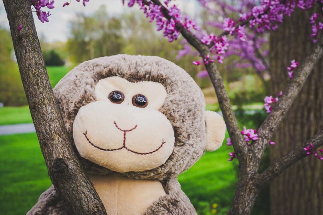 MONKEY Stuffed Animal, 16" Plushie, Make Your Own Stuffie, Soft and ...