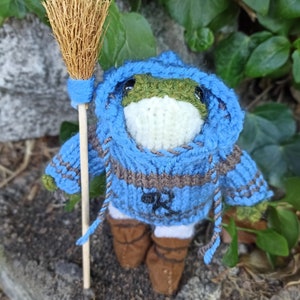 Frog in Quidditch Player Uniform, With Jumper, Trousers, Boots and ...