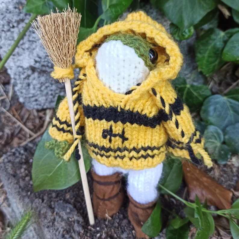 Frog in Quidditch Player Uniform, With Jumper, Trousers, Boots and ...