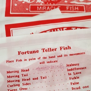Fortune Teller/miracle Fish - Etsy