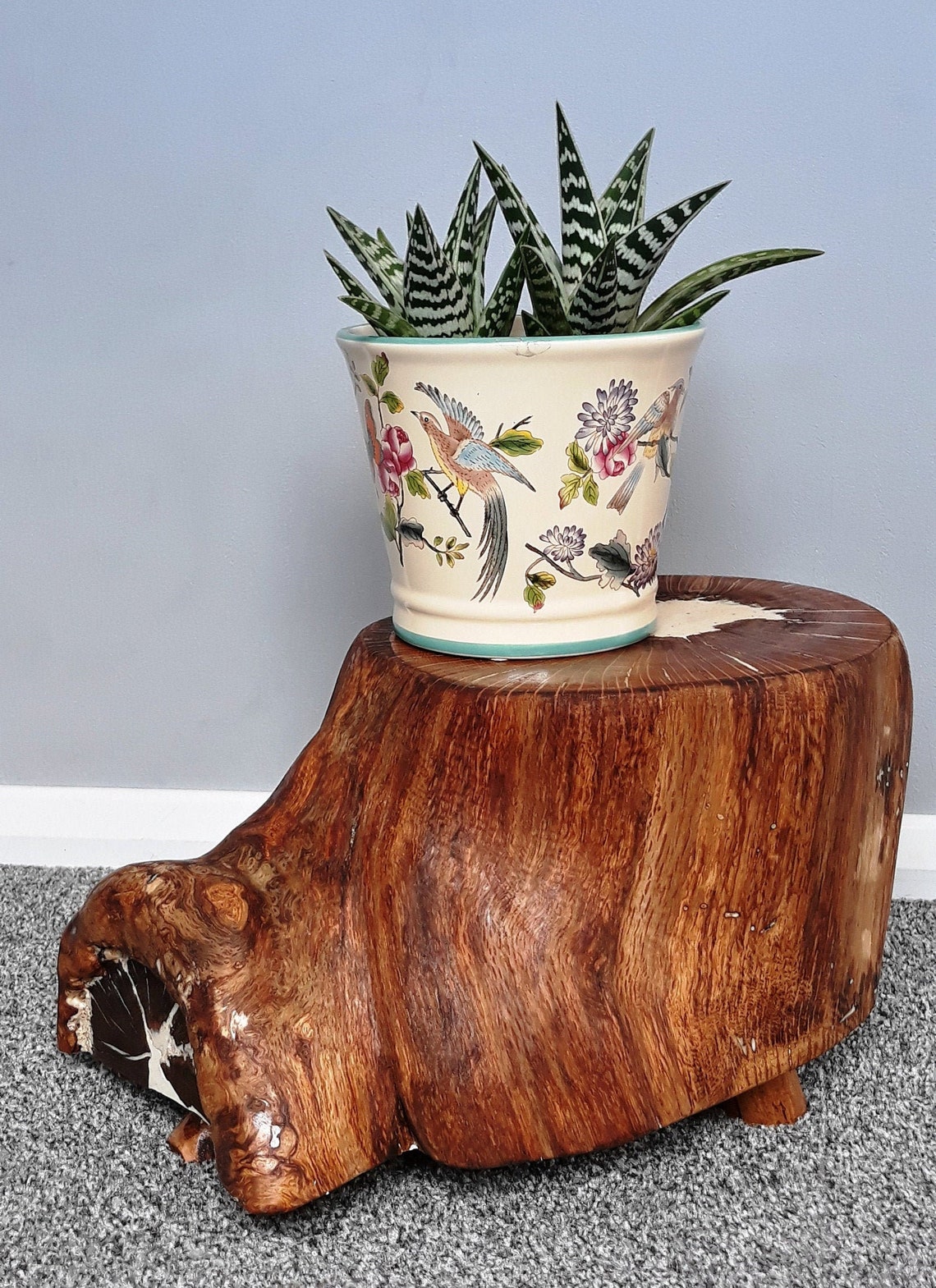 Natural Footed Small Tree Stump Stool Plant Stand Rustic Oak - Etsy