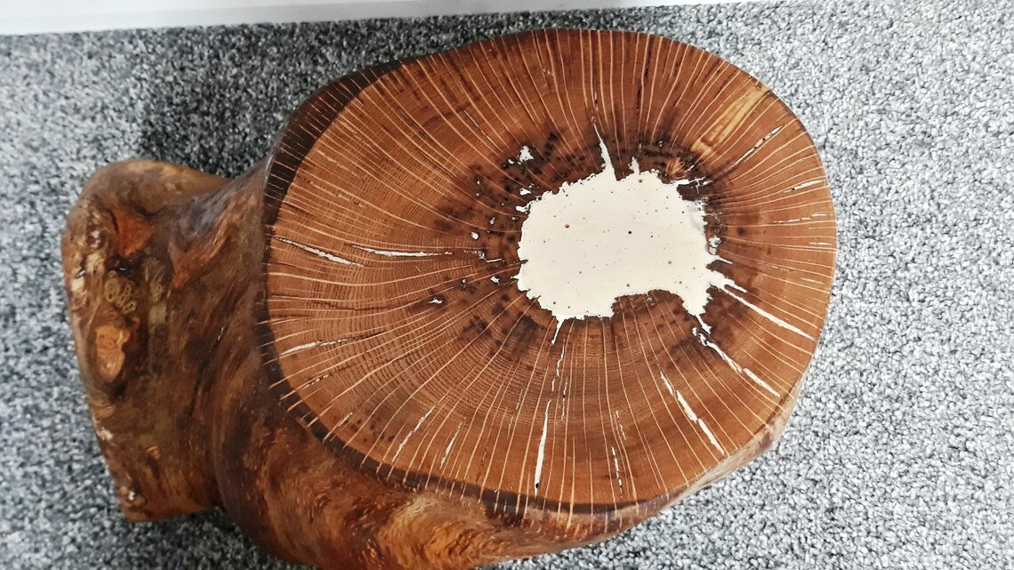 Natural Footed Small Tree Stump Stool Plant Stand Rustic Oak - Etsy UK