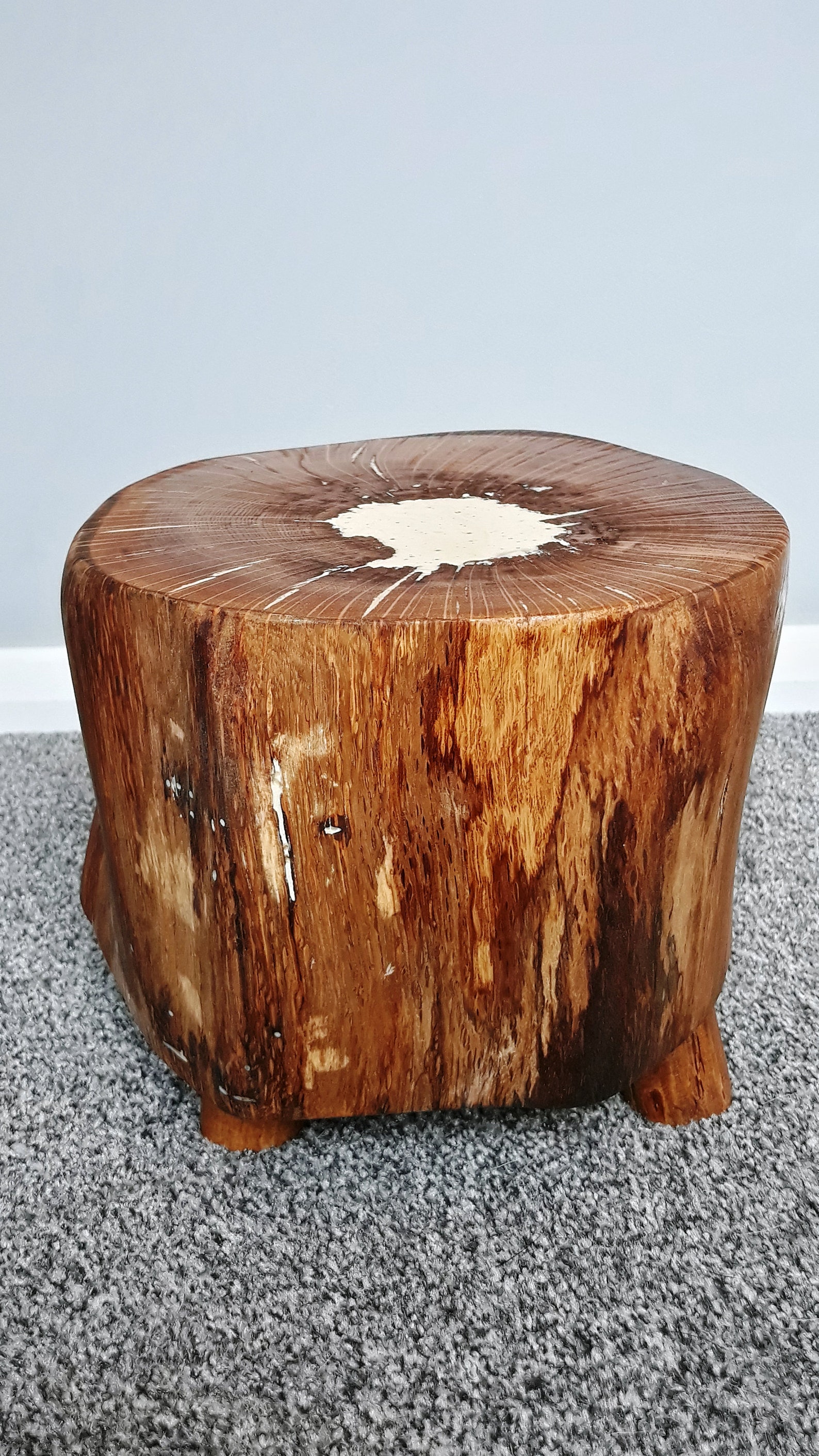 Natural Footed Small Tree Stump Stool Plant Stand Rustic Oak - Etsy