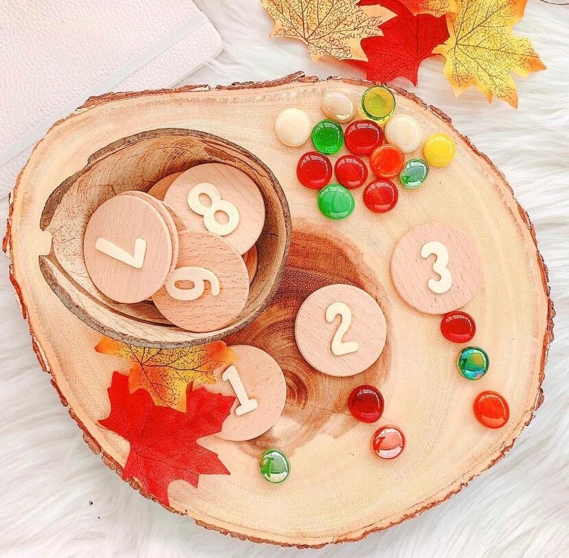 Counting Numbers Counters 0-9 Number Coins for Early Years Wooden ...