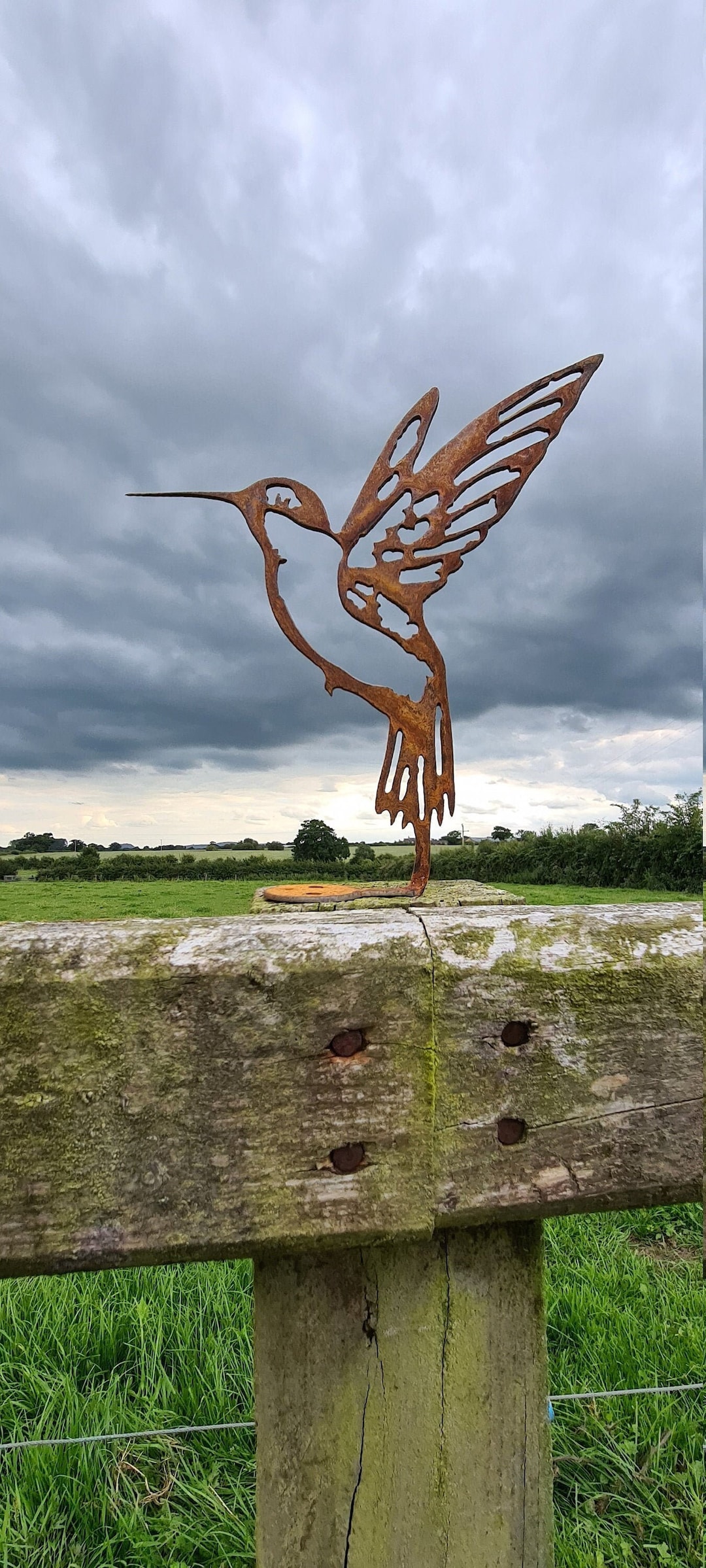 Metal Hummingbird Garden Art Rusty Outdoor Ornament Sculpture - Etsy
