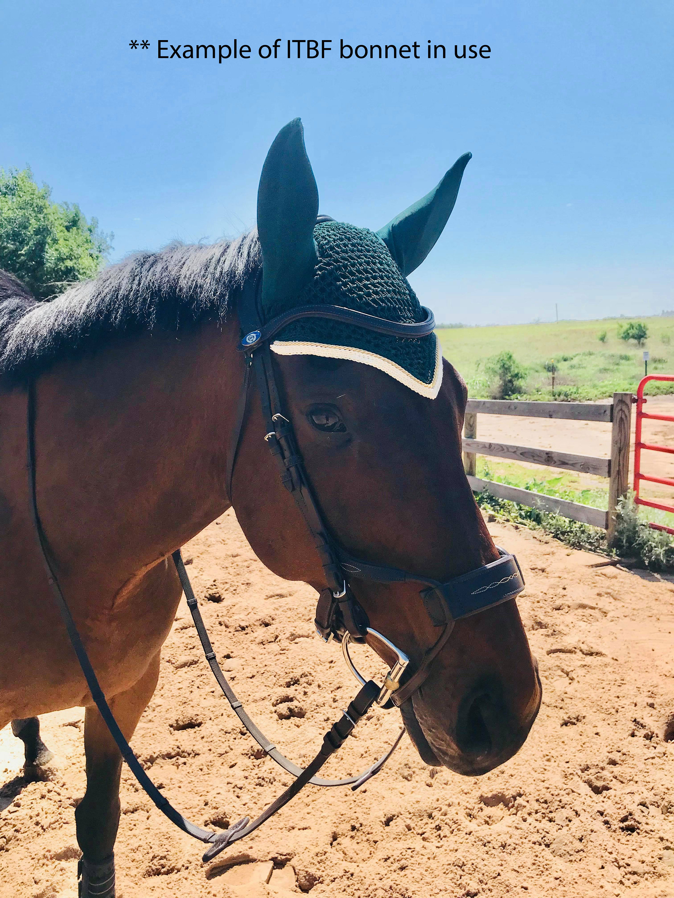 A-105 Horse Size Custom Crocheted Fly Bonnet Brick and Navy - Etsy