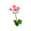 Geranium Print - Etsy
