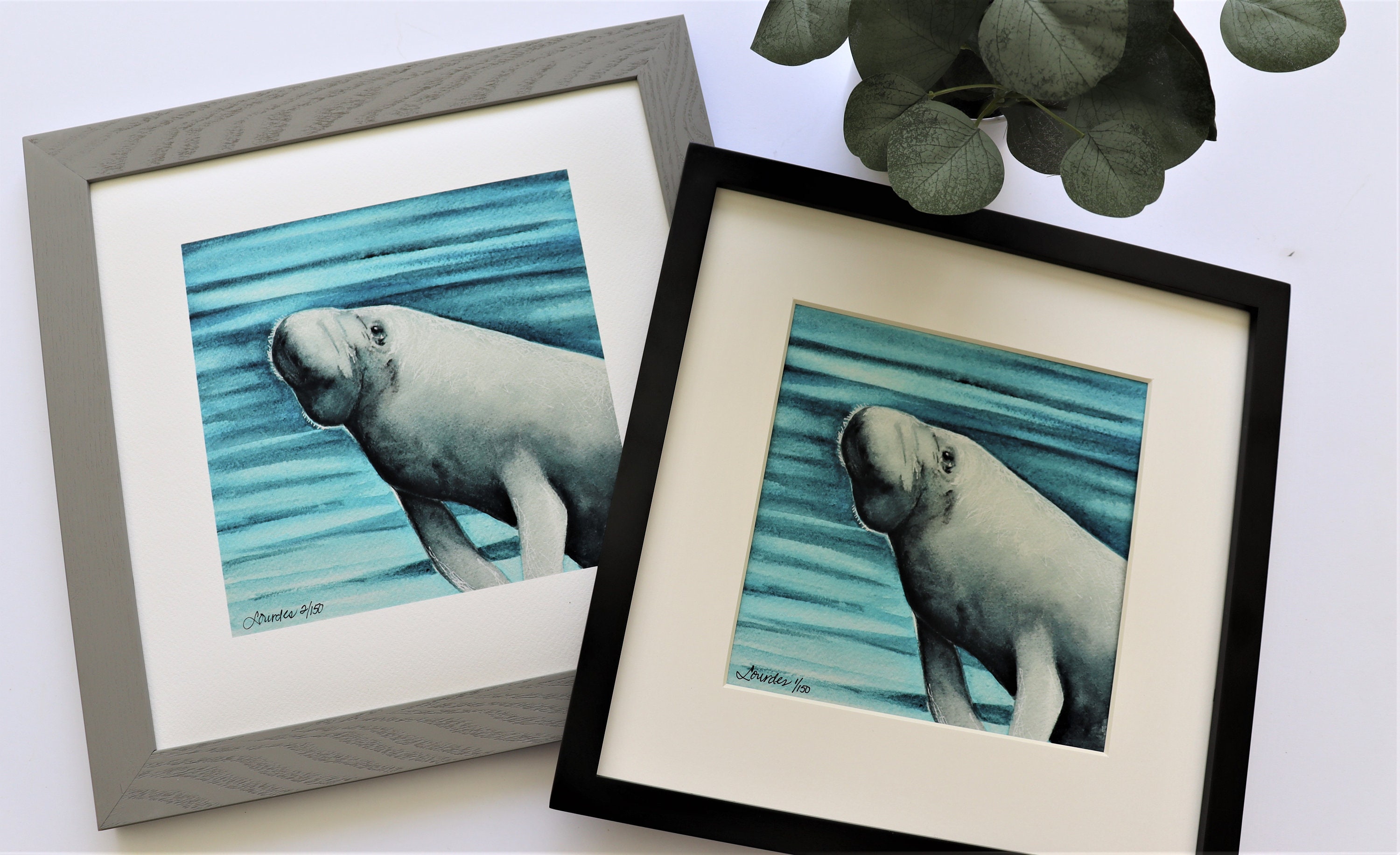 Manatee Limited Edition Fine Art Print Watercolor Manatee - Etsy