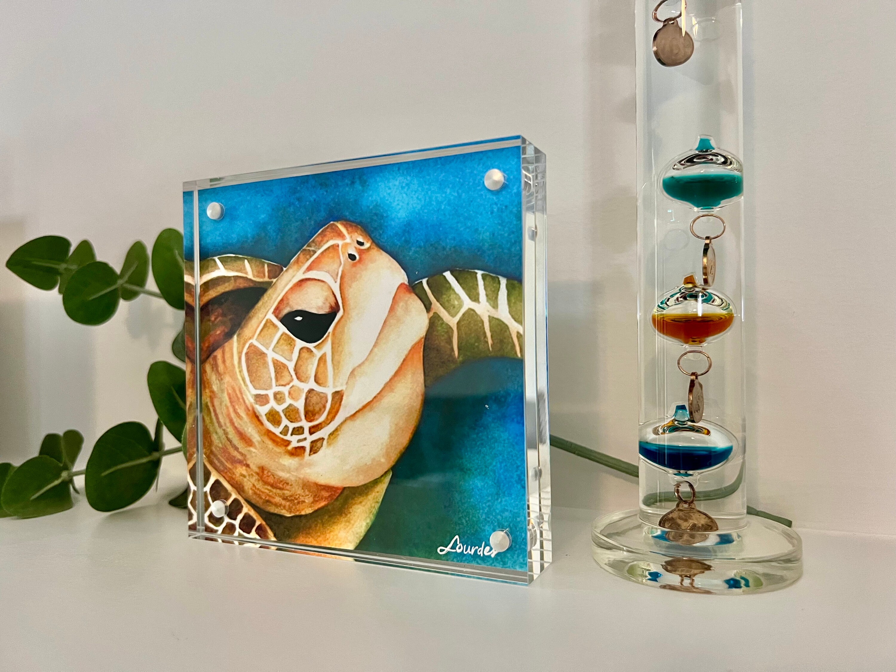 Sea Turtle Artwork on Acrylic Block Tabletop Art, Watercolor Sea Turtle ...