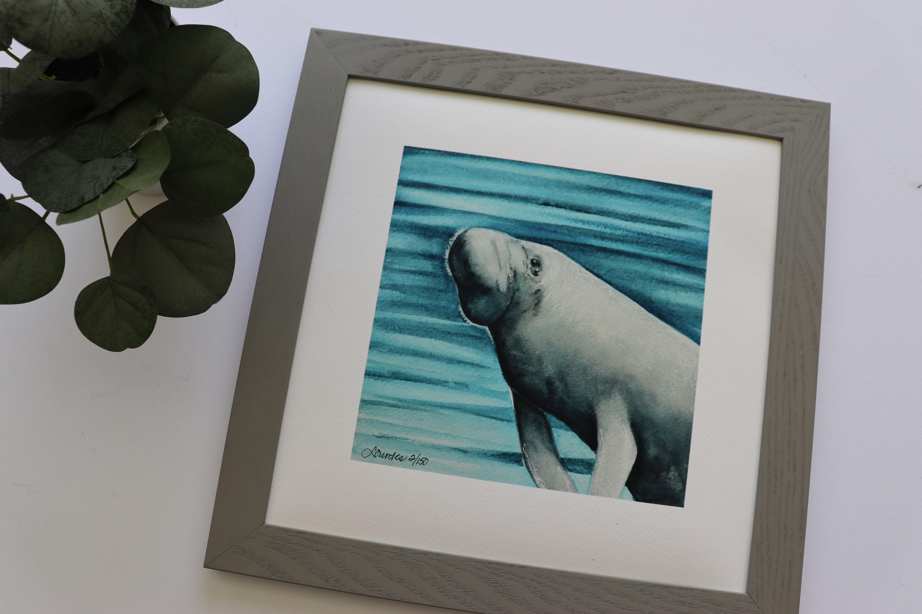 Manatee Limited Edition Fine Art Print Watercolor Manatee - Etsy
