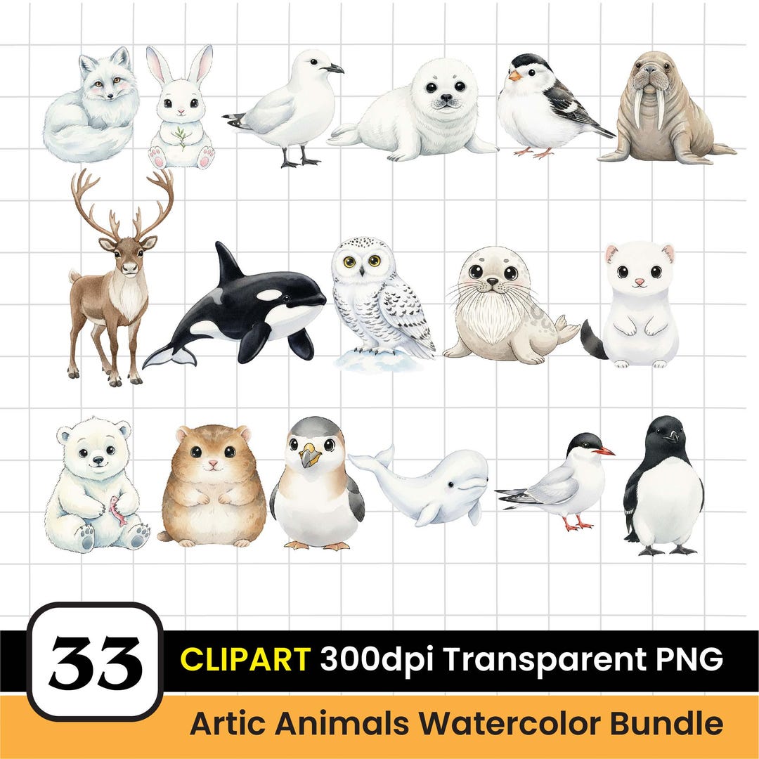Arctic Animals Watercolor Clipart Set | 33 PNG Winter Wildlife - Etsy