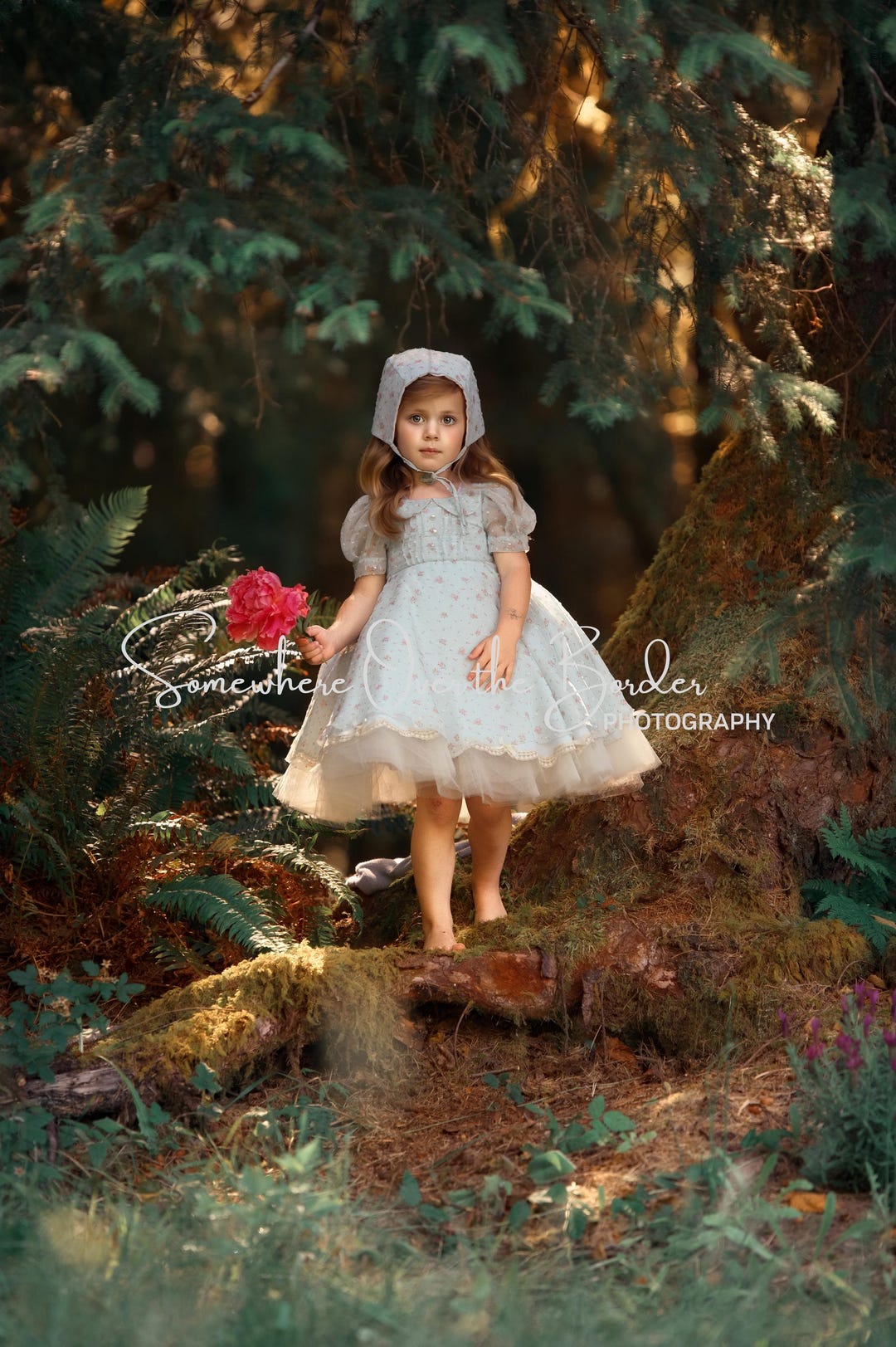 10 Oregon Forest Digital Backgrounds | Moody Woodland Backdrops for ...