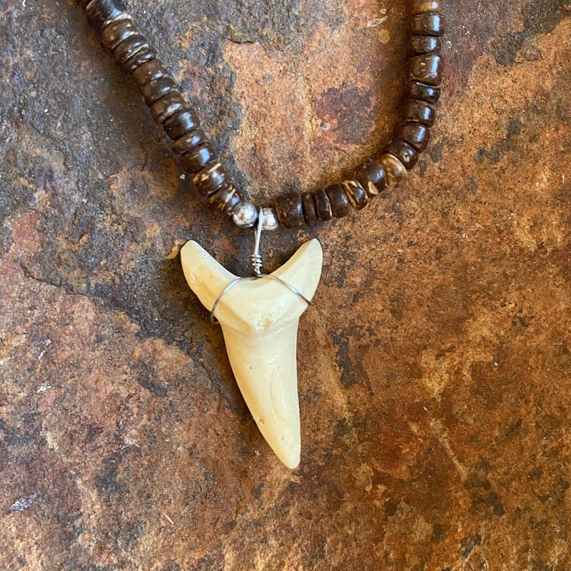 Shark Tooth Necklace - Etsy