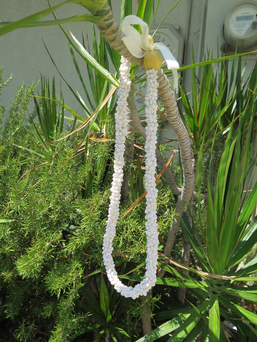 Hawaiian Wedding / Graduation Mini Shell Lei Hula Jewelry Necklace - Etsy