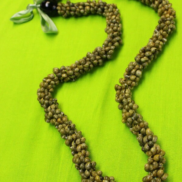 Niihau Shell Necklace - Etsy