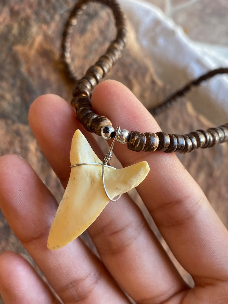 Hawaiian Design Jewelry Bone Powder Shark Tooth W/ 18" Coconut & Wood ...