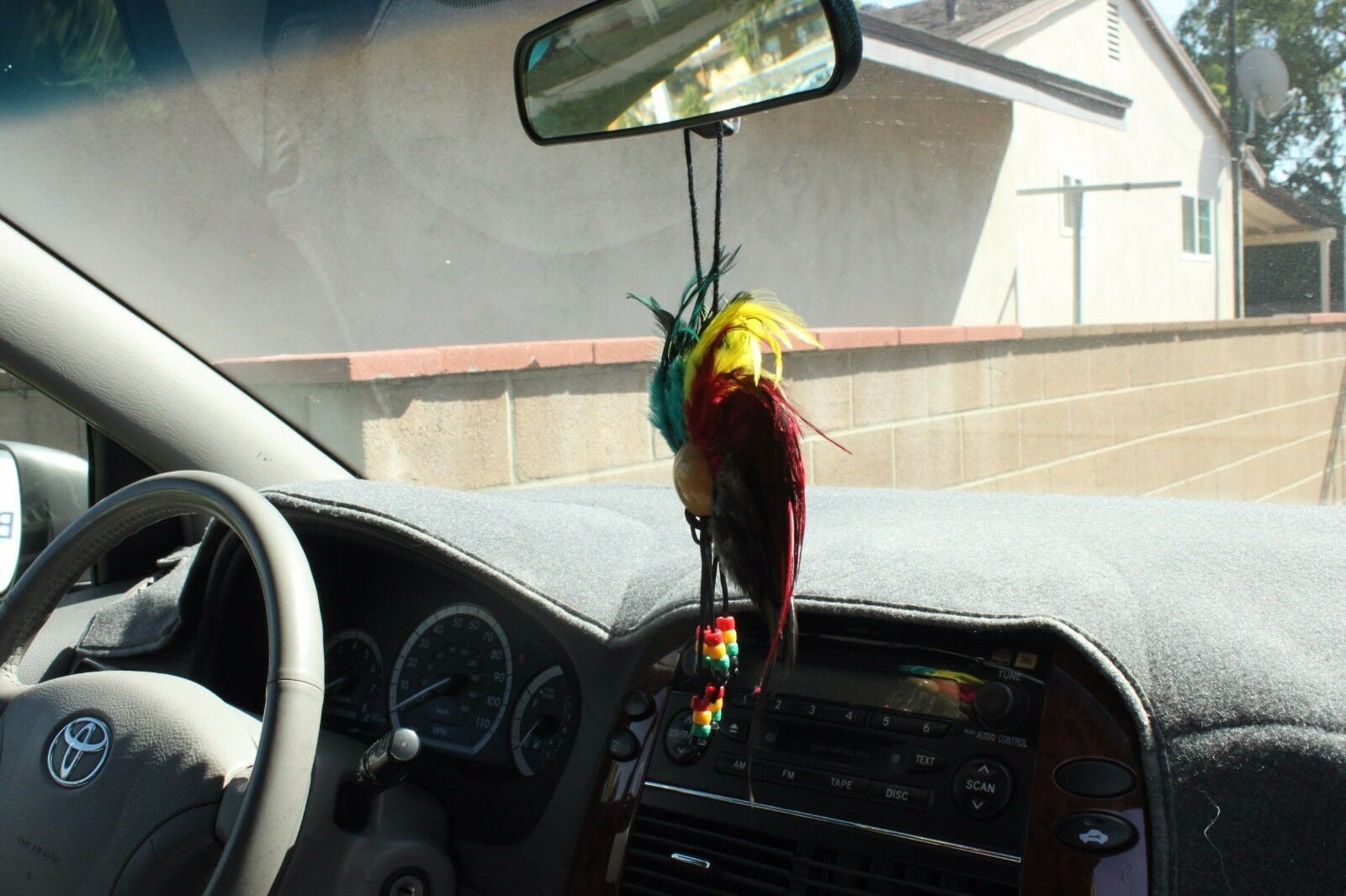 1 Kamani Nut Rasta Colored Feathers Ikaika Hawaiian | Etsy