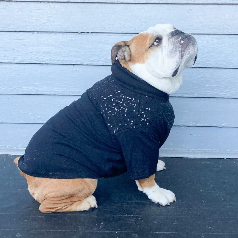 Bulldog Knitting Pattern - Etsy