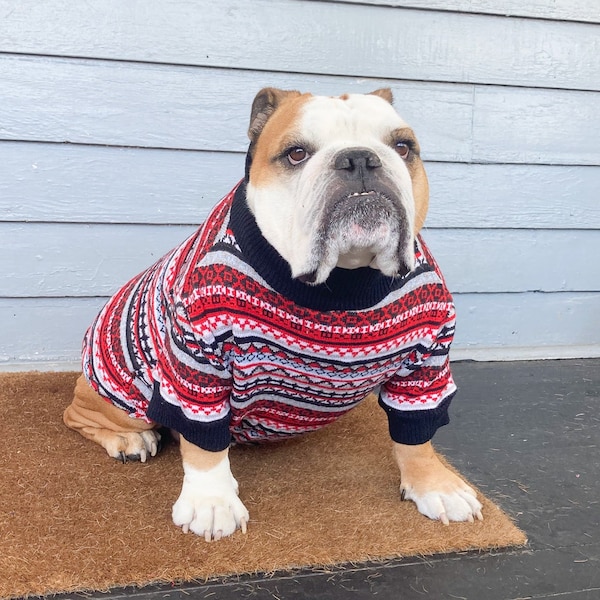 Bulldog Sweater - Etsy