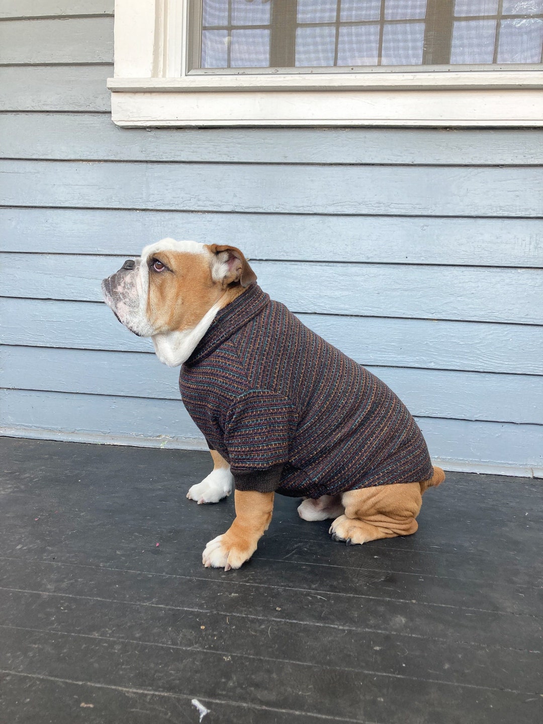XL English Bulldog Sweater Apparel Long Sleeved With Harness - Etsy