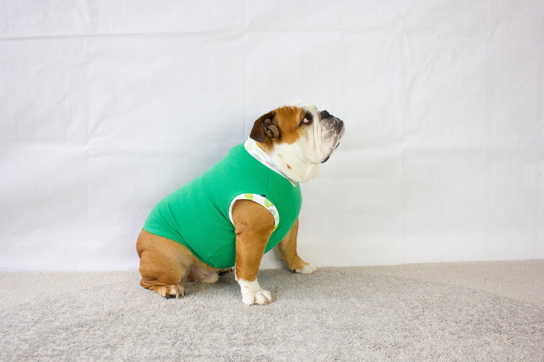 S English Bulldog Sweater, Apparel, Garment With Harness Opening - Etsy