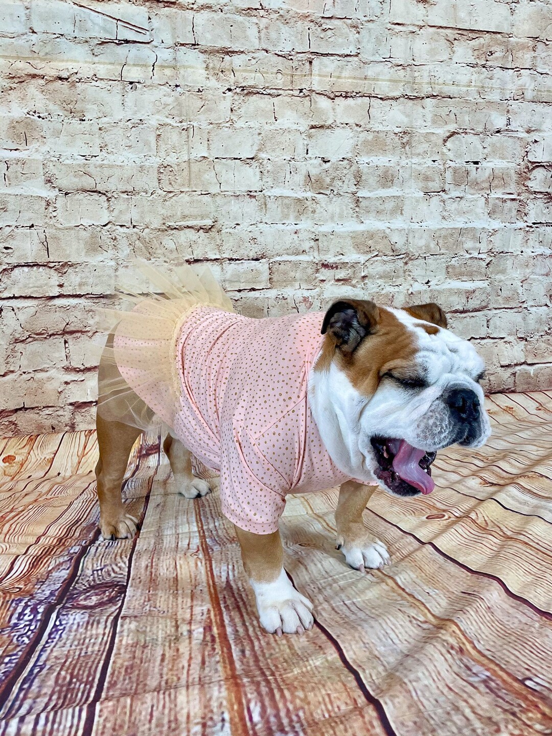 L & XL Tutu Tshirt English Bulldog Apparel, Long Sleeved - Etsy
