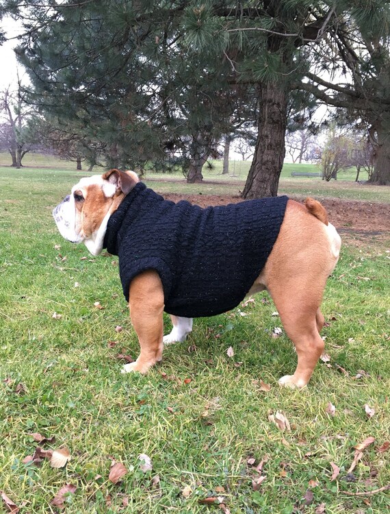 XS Sparkly English Bulldog Sweater Apparel Short Sleeved - Etsy