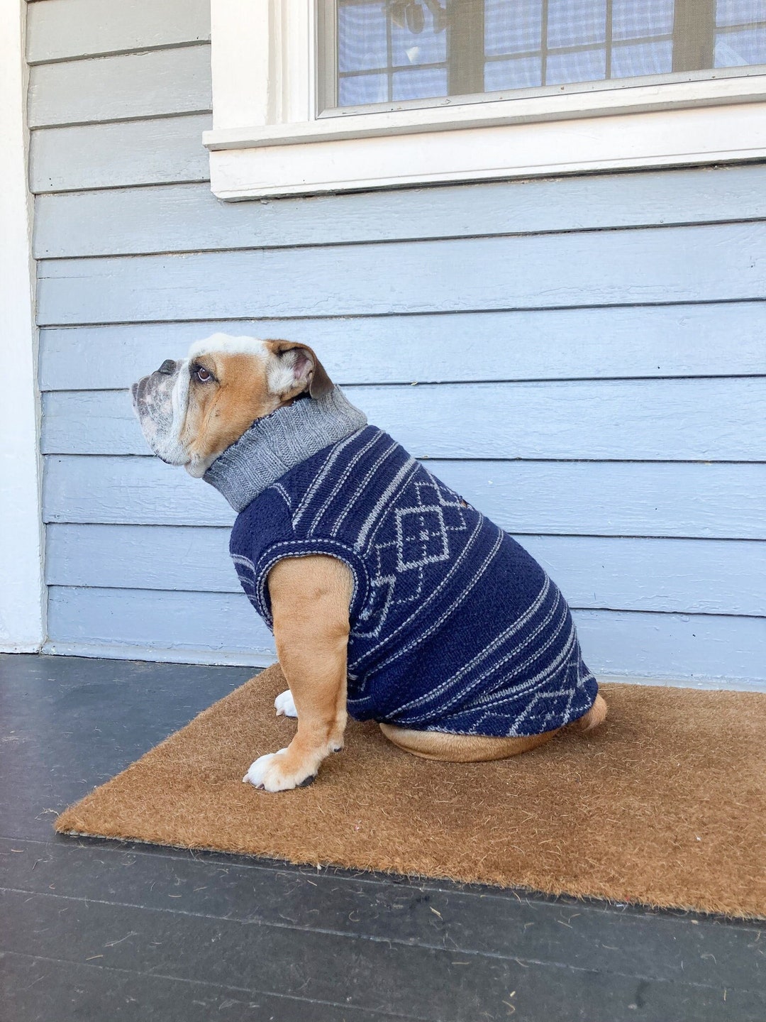 L English Bulldog Sweater, Apparel, Short Sleeved With Harness Opening ...