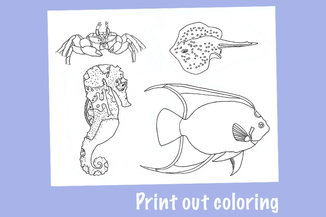 Angelfish Printable Coloring Sheet - Etsy