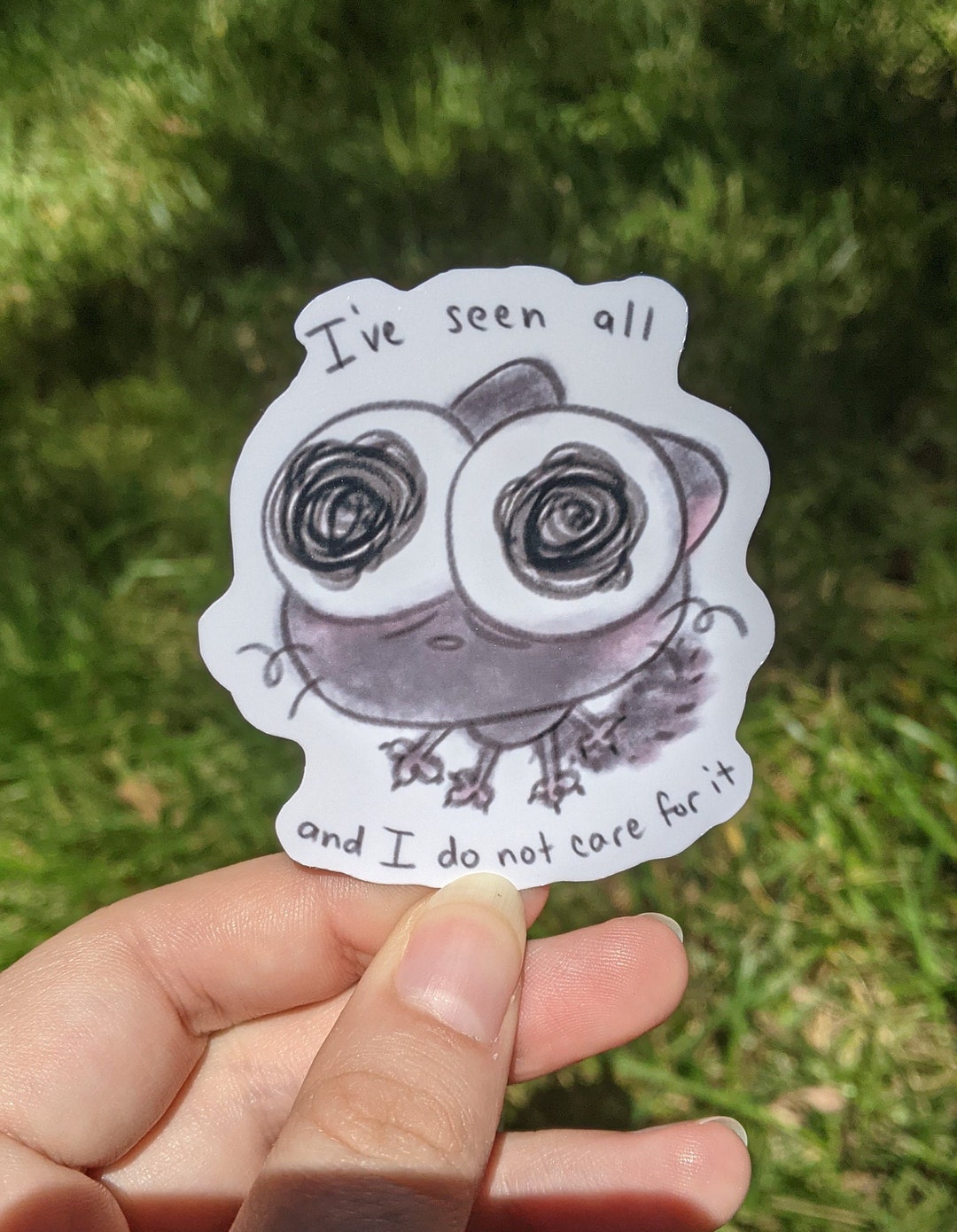 Seen All Cat 3" Vinyl Sticker | Sketchbook Laptop Water Bottle | Cute ...