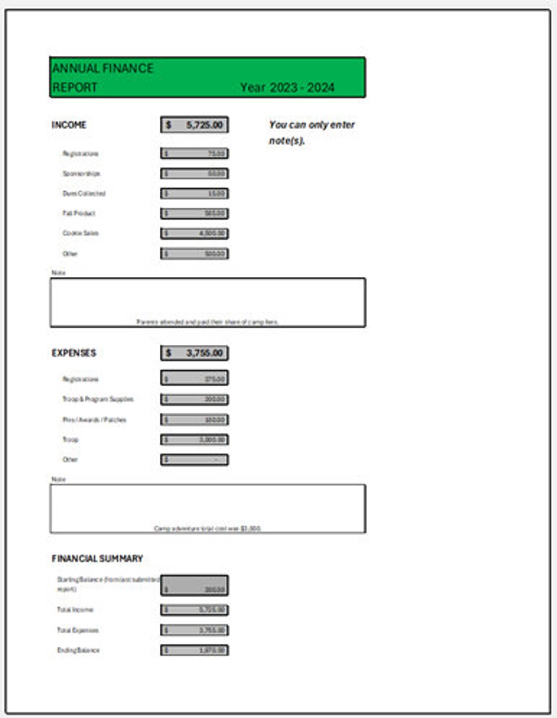 Girl Scout Troop Financial Tracking and Annual Finance Report Template - Etsy