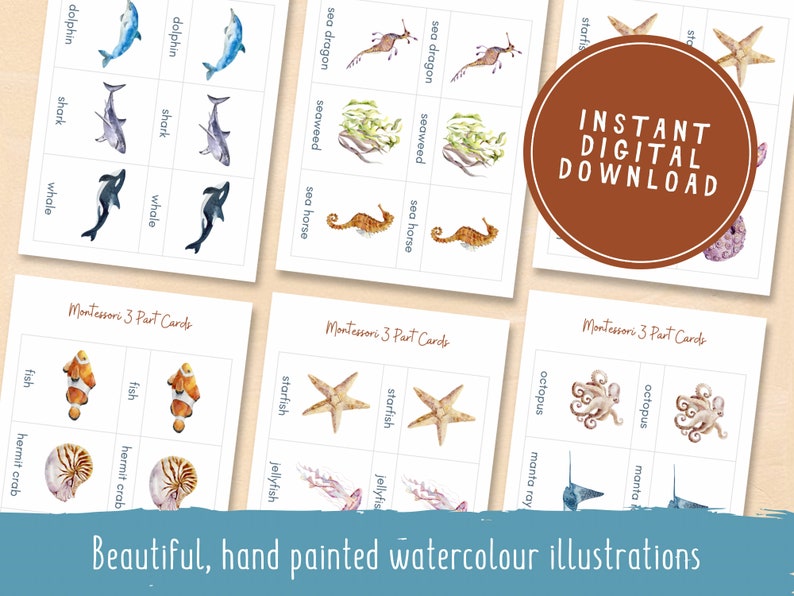 Ocean Montessori 3 Part Cards // Preschool Printable // Preschool ...