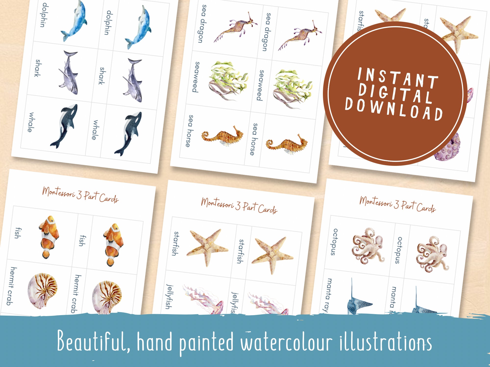 Ocean Montessori 3 Part Cards // Preschool Printable // Preschool ...