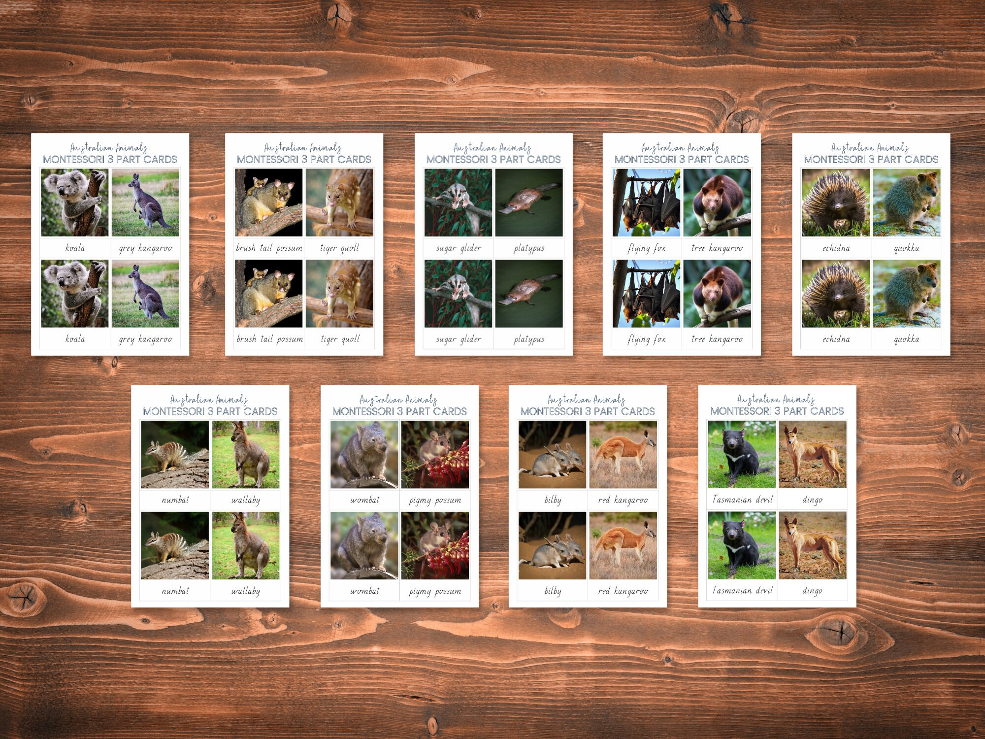 Australian Animals Montessori 3 Part Cards // Preschool Printable ...