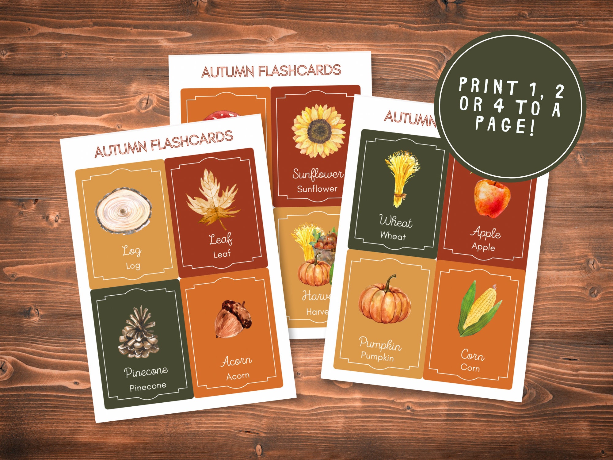Autumn Flash Cards // Printable // Montessori // Homeschool // - Etsy