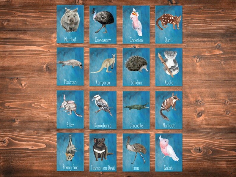 Australian Animal Flashcards // Australia Flash Cards // - Etsy