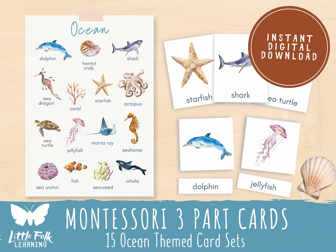 Ocean Montessori 3 Part Cards // Preschool Printable // Preschool ...