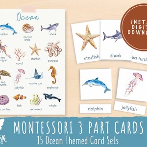 Ocean Montessori 3 Part Cards // Preschool Printable // | Etsy