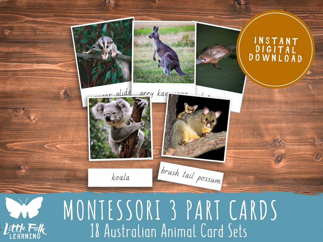 Australian Animals Montessori 3 Part Cards // Preschool Printable ...