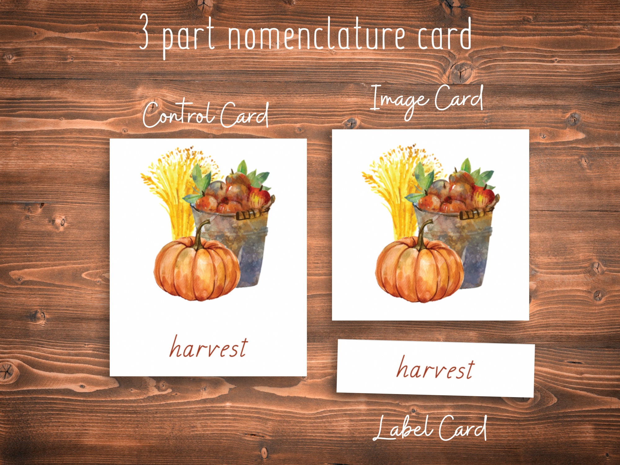Autumn Montessori 3 Part Cards // Autumn Collection // Preschool ...