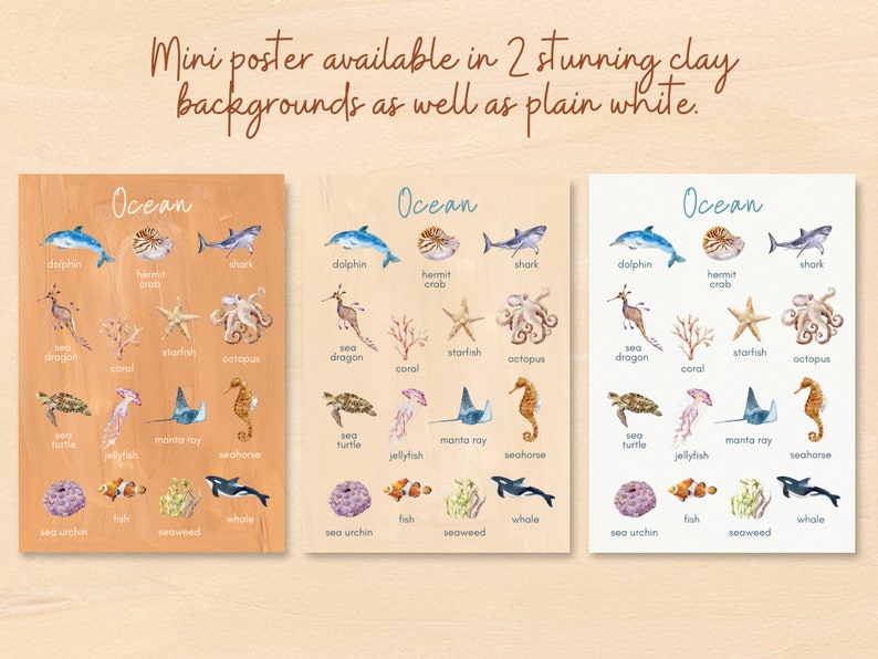 Ocean Montessori 3 Part Cards // Preschool Printable // - Etsy