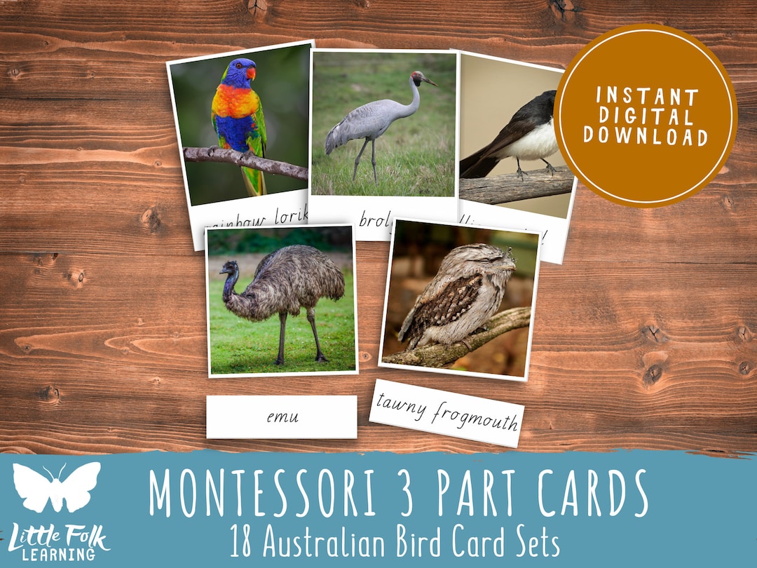 Australian Birds Montessori 3 Part Cards // Preschool Printable ...