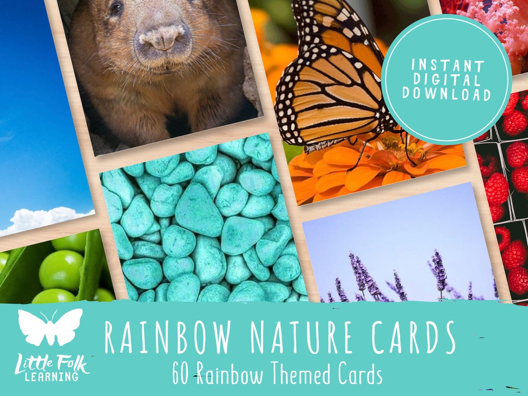 Rainbow Nature Colour Cards // Printable // Montessori // Homeschool ...