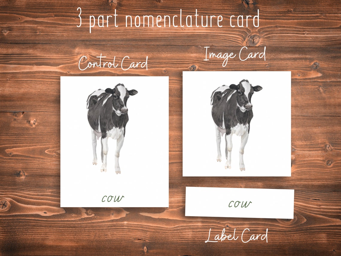 Farm Animals Montessori 3 Part Cards // Preschool Printable ...