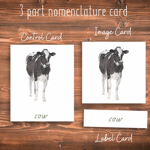 Farm Animals Montessori 3 Part Cards // Preschool Printable ...