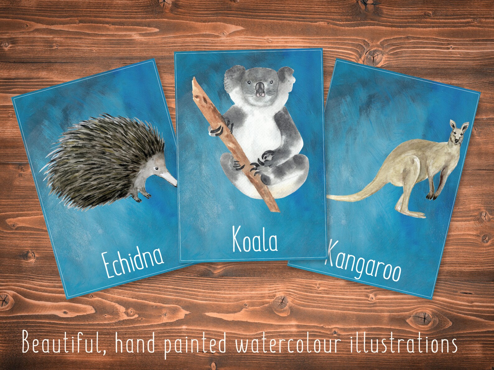 Australian Animal Flashcards // Australia Flash Cards // - Etsy